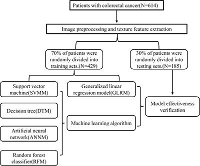 Frontiers | Machine learning based gray-level co-occurrence matrix early warning system enables ...